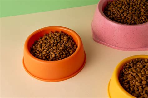 🐱Лучшие сухие кошачьи корма эконом, премиум, холистики для здоровья ...