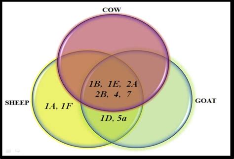 Distribution of serotonin receptor subtypes expression in the lactating... | Download Scientific ...