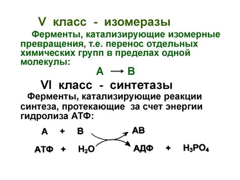 Ферментативный катализ - презентация онлайн
