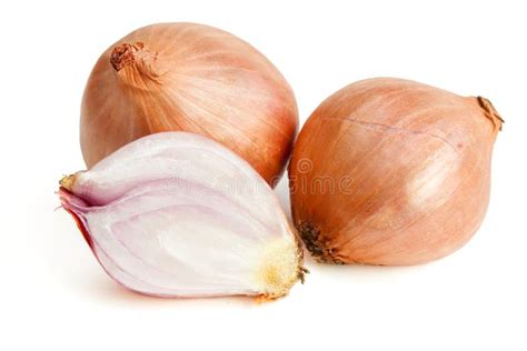 Shallot stock photo. Image of food, onion, seasoning - 13232376