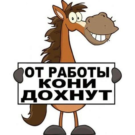 Юмор о работе и о тех кто пашет как лошадь: анекдоты, веселые картинки ...