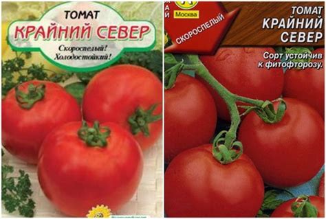 Томат "Крайний север": характеристика сорта и описание особенностей ...