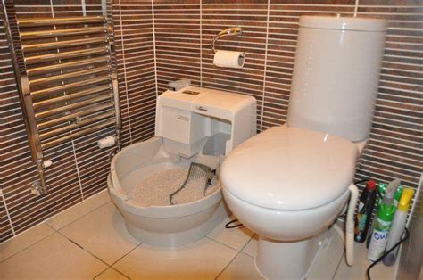 Обзор автоматических (самоочищающихся) туалетов для кошек и котят