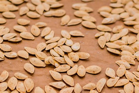 Как сушить тыквенные семечки - AgroFlora.ru