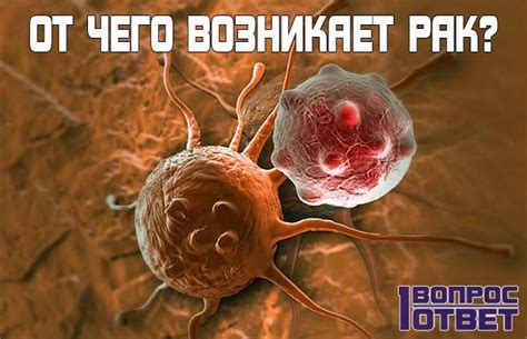 От чего появляется рак? Фото и видео о причинах возникновения раковых ...