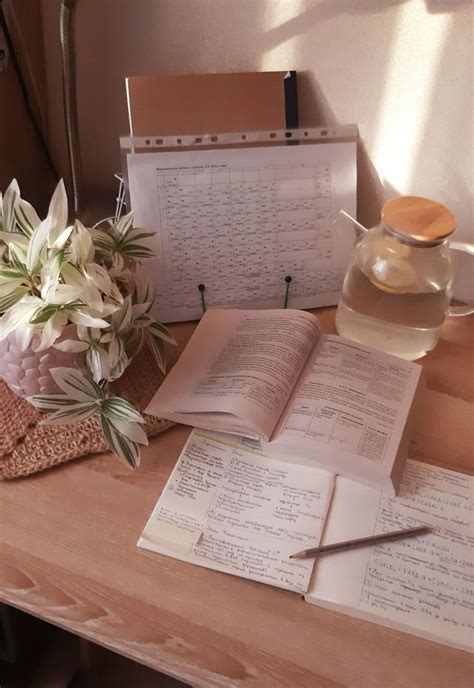 School, studying, aesthetic. Школа, учеба, эстетика | Study motivation ...