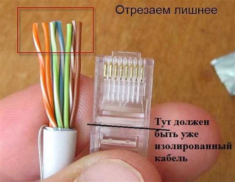 Cat 5e розетка схема подключения на 2 выхода