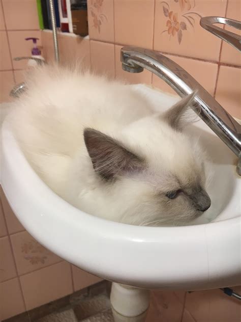 If she fits she sits | Scrolller