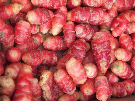 24 Exotic Vegetables You Should Know About - Facts.net