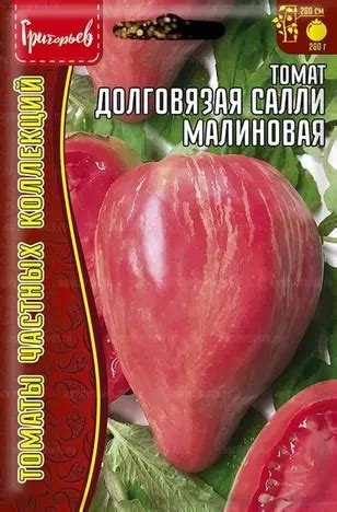 Томат Долговязая Салли Малиновая 10 шт Григорьев — Интернет Магазин ...