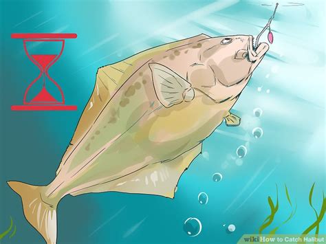 How to Catch Halibut: 11 Steps (with Pictures) - wikiHow