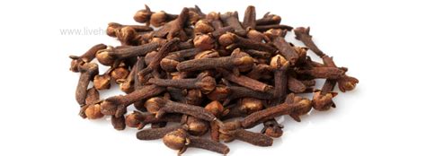 Advantages of Cloves in food – Live Homeo