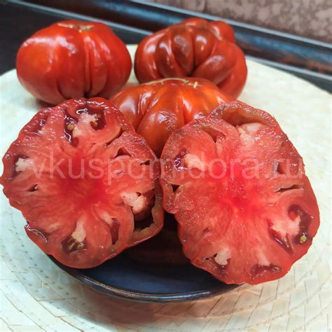 Купить семена томата Большая паста Кэрол Чико черная