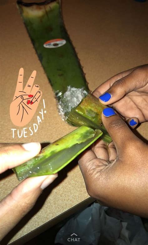 fresh aloe vera | Fresh aloe vera, Skin care, Aloe vera