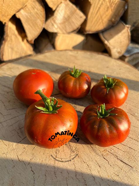 Черноплодные томаты – Tomatinсa.ru