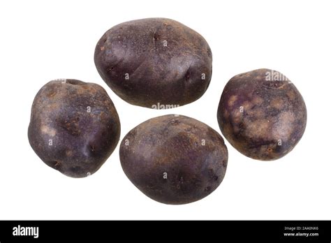 Kartoffelsorte Vitelotte, Freisteller Stock Photo - Alamy