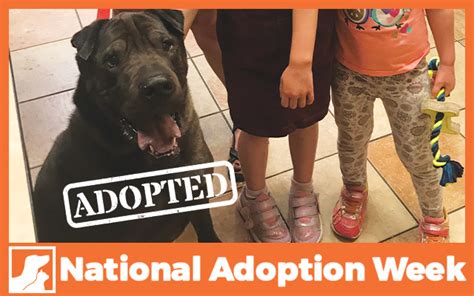 PetSmart Charities National Adoption Week