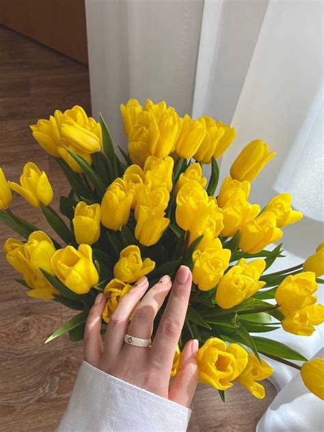 Pin by Eva 🪐 on flowers 💐 | Tulips, Yellow flowers, Flowers