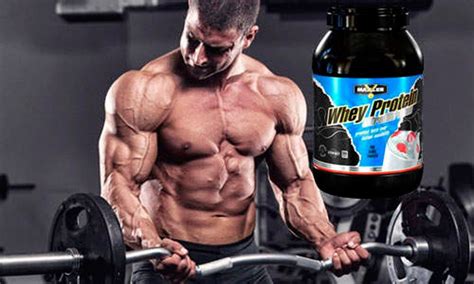 Ultrafiltration Whey Protein от Maxler: как правильно принимать, состав