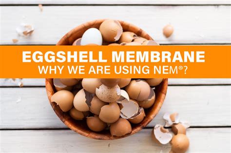 EGGSHELL MEMBRANE: WHY NEM®? – Herbal Code Labs Nutrition