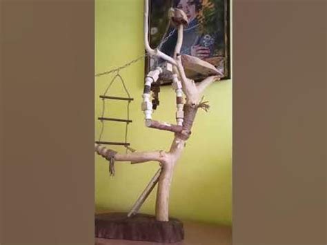 Игровой стенд для попугая своими руками от подписчицы #дляпопугаев # ...
