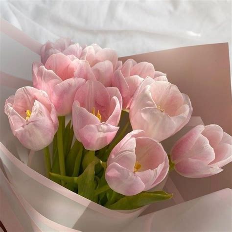 Pin by 𝚆𝚎𝚍. on ♡┊Flowers | Pink flowers, Flower aesthetic, Pretty flowers