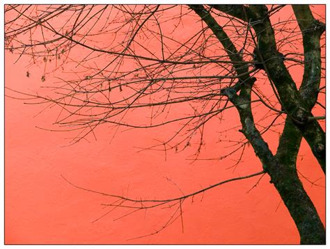 Nudité photo et image | les saisons, hiver, nature Images fotocommunity