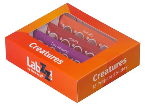Оптика для детей Levenhuk LabZZ в интернет-магазине