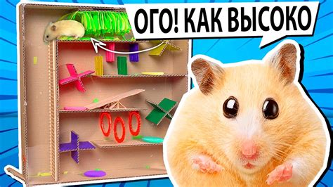 Многоуровневый лабиринт из картона | DIY Хомяки - YouTube