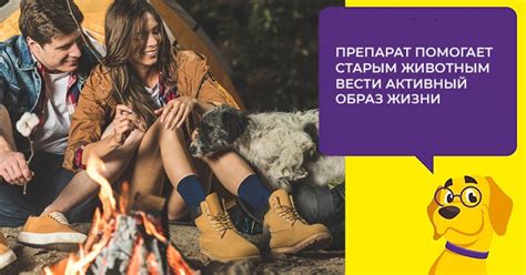 Бонхарен для собак: показания, инструкция, отзывы