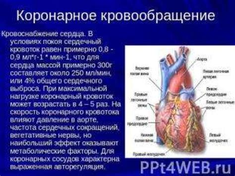 Расстройства кровообращения и лимфообращения. Лекция №4 - online ...