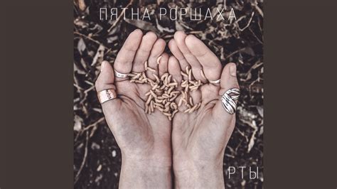 Рты - YouTube