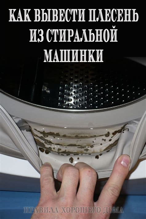 Плесень в стиральной машинке: как ее правильно убрать - Советы для женщин