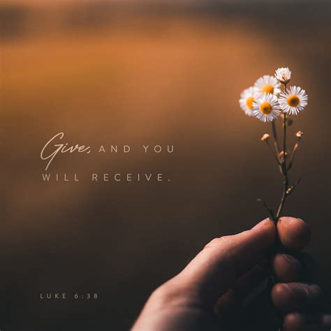 Top Bible verses from Luk 6 | Bible Verses | YouVersion