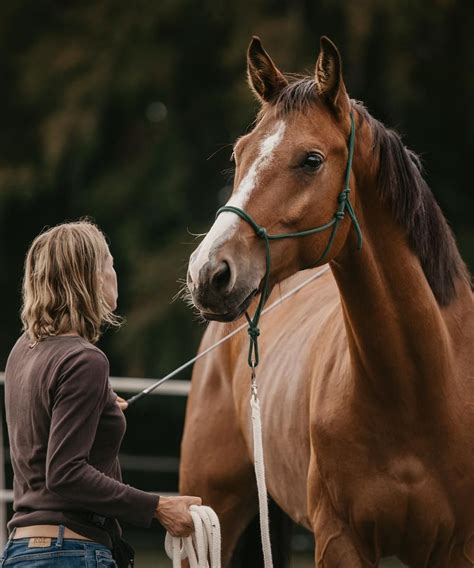 Parelli Natural Horsemanship | Parelli Instruktoren