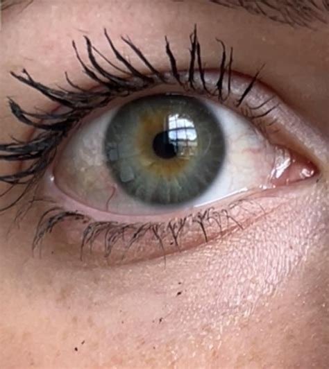 What color would you say my eyes are? Tried to get a good photo… : r/eyes