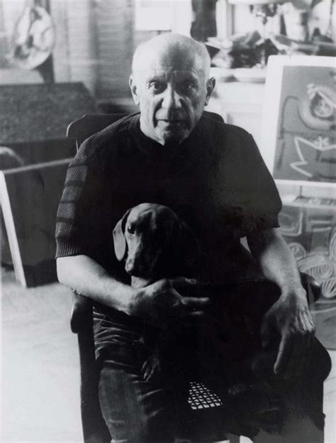 Picasso, Pablo - Quinn, Edward (1920-1997). Original-Photographie ...