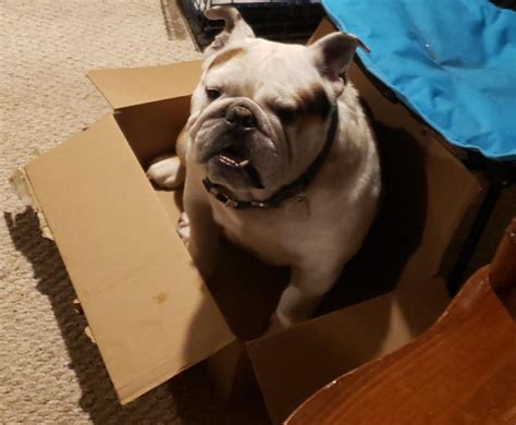 If I Fits, I Sits | Scrolller