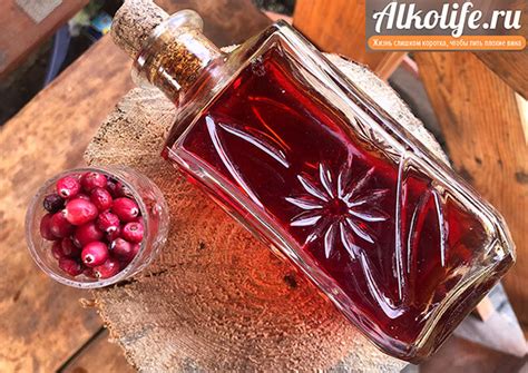 Настойка на клюкве или Клюковка: 7 домашних рецептов