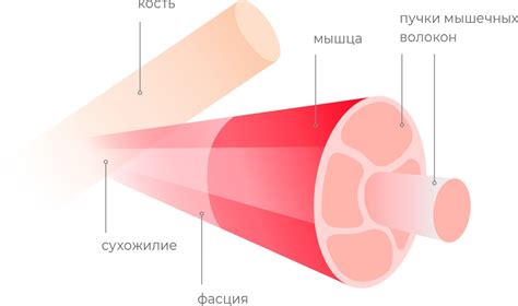 IMPULSE SPORT › Импульс – Инновационные приборы нового поколения