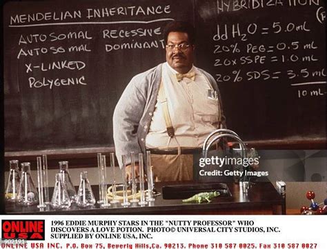214 The Nutty Professor 1996 Photos & High Res Pictures - Getty Images