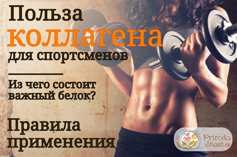 Коллаген в спортивном питании: чем полезен для спортсменов, из чего ...