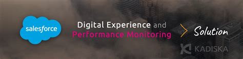Solution Brief: Salesforce Digital Experience and Performance ...