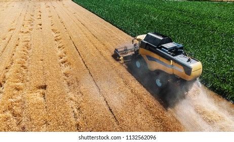 13 Wheat Gield Images, Stock Photos, 3D objects, & Vectors | Shutterstock