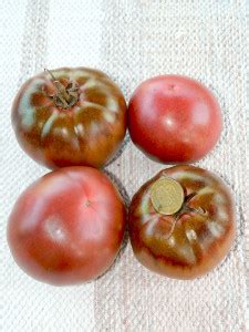 Томат Гринч черри (Grinch Cherry Dwarf)