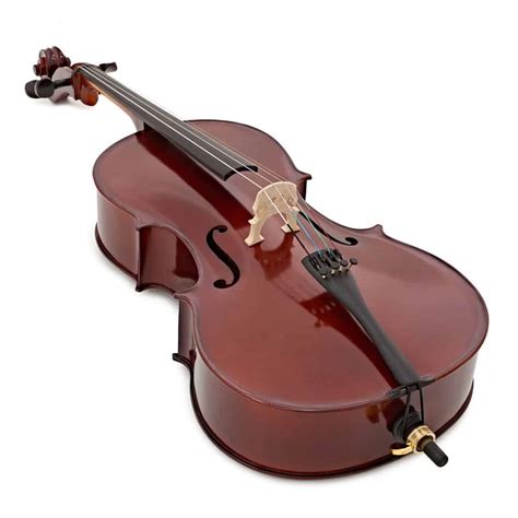Cello Buyer’s Guide | Ted's List