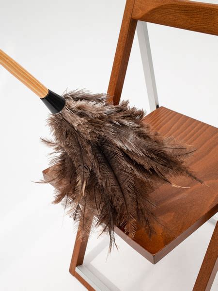 Пипидастр Do Clean, 1 шт, Дерево, Перо по низкой цене с доставкой в ...