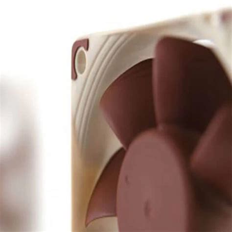 Buy NOCTUA NF-A6x25 FLX 60mm Non-RGB Cabinet Fan (Single Pack ...