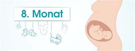 29. Schwangerschaftswoche - babymarkt.de