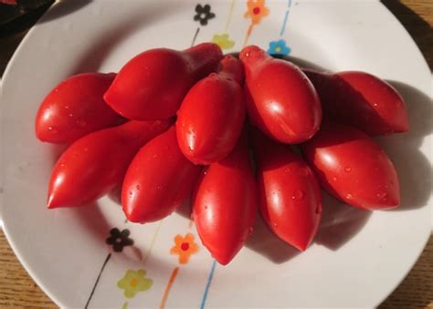 Покоритель неба | mir-tomatov